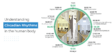 Lumos Controls Human-centric Lighting: What, Why and How?