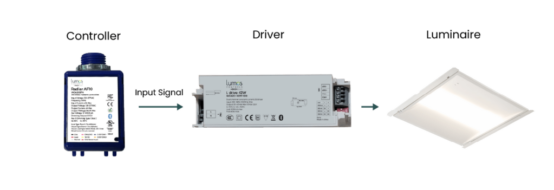 Lumos Controls How to choose the right dimming curve?